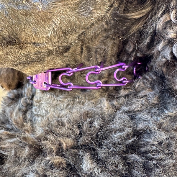 33in Chain Traffic Lead/leash Custom Powder Coated for Dogs, Biothane ...