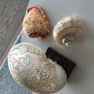 Carved Pearl Nautilus Shell Dragon Carving,real and Natural Nautilus ...