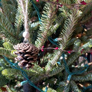 20 Count Light String / Strand / Set Brown Cord Clear | Etsy