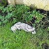 Pair of Hunting Dog Pointer Hound Stone Statues Reconstituted Antique ...