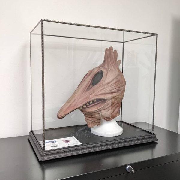 5x5x5 Case 5 Sided Glass Display Case open on Bottom With Wood Base ...