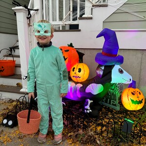 Cartoon Classics Animal Masks Road Runner Bird Sneaky Coyote Tasmanian ...