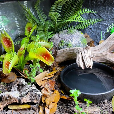 Plastic Moss Pads: Artificial Aquarium Plants Reptile Terrarium Plants ...