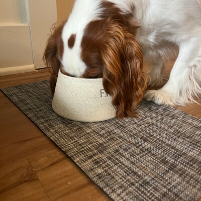 XL Tall Custom Dog Bowl L Long Eared Dogs L Personalized - Etsy
