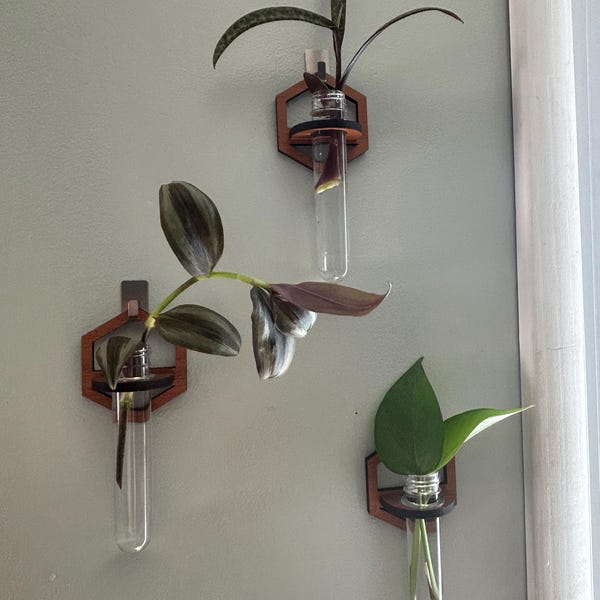 Wall Propagation Station - 3 Test Tube Hydroponic Holder for ...