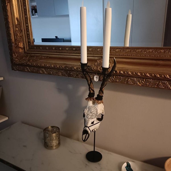 Real Roe Deer Skull Candle Holder Viking Compass Path Finder Pagan ...