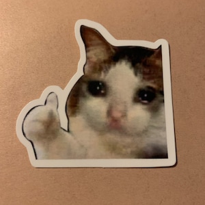 Crying Cat Sticker Pack Pack of 7 Meme Crying Cat Stickers - Etsy