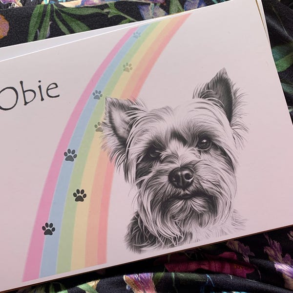 Budgie Budgerigar Bird Chums Art Birthday Hat Greetings/note Card/print ...