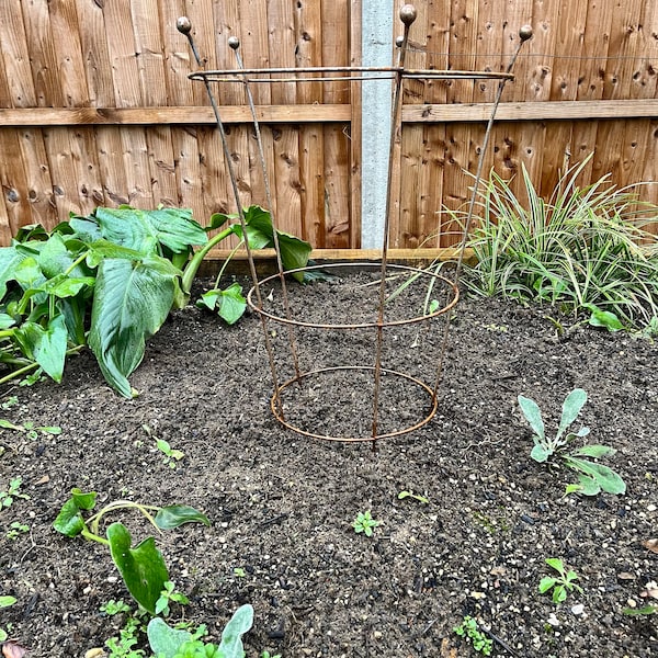 Rusty Metal Peony Garden Support Cage Frame Peonies Herbaceous Plant ...