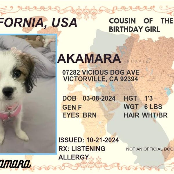 Senior ID Card Template: Customizable Identification (canva) - Etsy