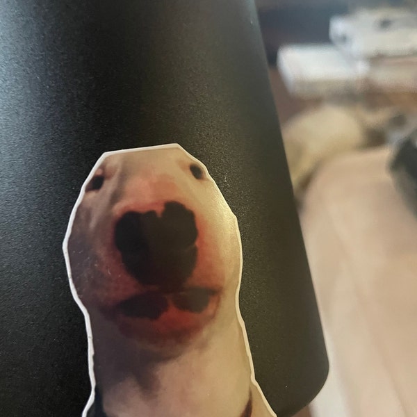 Animal Meme Stickers - Etsy