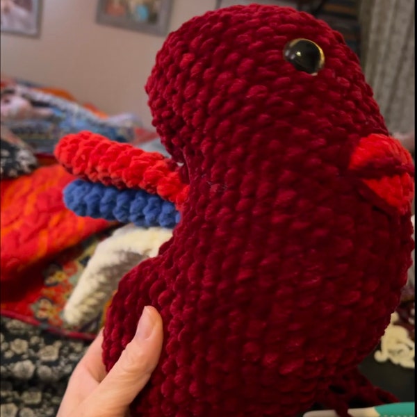 Anatomical Kidney Crochet Pattern! PATTERN ONLY Instant DOWNLOAD ...