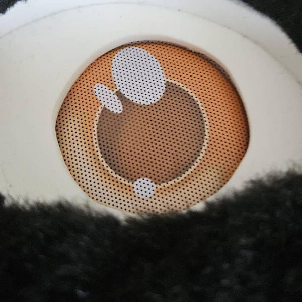 Sublimated Follow-me Dilophosarus Dino Mask and Dinosaur Eye Mesh for ...