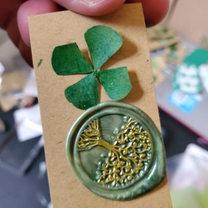 Pressed Dried 4 Leaf Clover for Floral Art Craft Resin Cast - Etsy