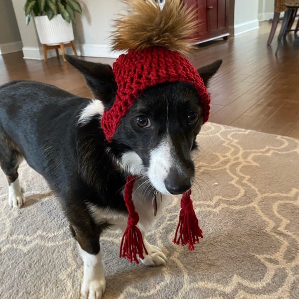 Corgi Beanie - Dog Beanie - Corgi Hats - Dog Hat - Dog Beanie - Fur ...