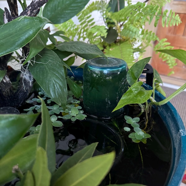 Justponics Mini Bell Siphon V3 (set of 2) - Etsy