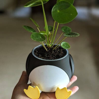 Boho Wavy Plant Pot 4, 5, 6, 7 Tall Clear Pot Perfect Fit Unique ...