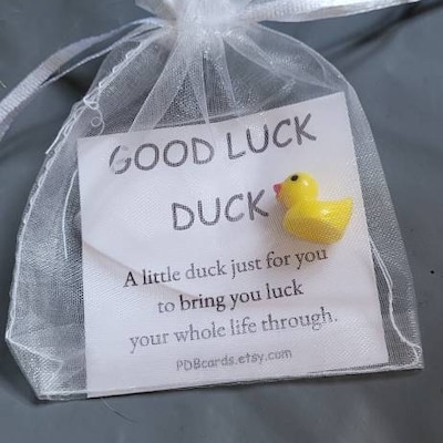 Good Luck Duck Good Luck Gift Cute Duck Gift Desk Buddy Cute Little ...