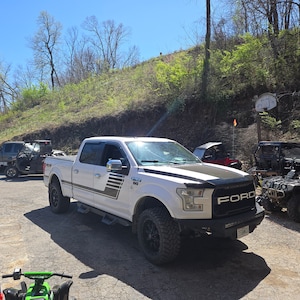 2017-2020 Ford Raptor F-150 Rear Emblem Overlay Decal Colored Chrome - Etsy