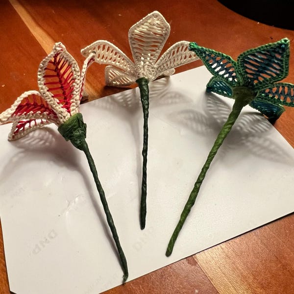 Fiji Sennit, Magimagi Kafa Afa Aha by Lauhala Trading - Etsy