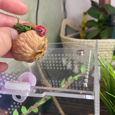 Jumping Spider Sign Post Spooder Lives Here, Spider Hideout Accessories ...