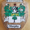 Family Crest - Etsy