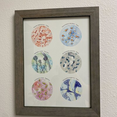 Thank You Card for Microbiology Professor Chemistry Biology - Etsy