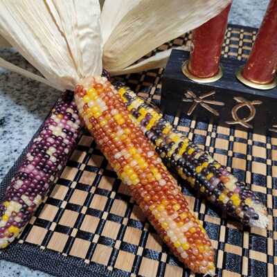 Mini Indian Corn, 5 to 6 Length, 10, 15, 30 and 40 Count, FREE SHIPPING ...