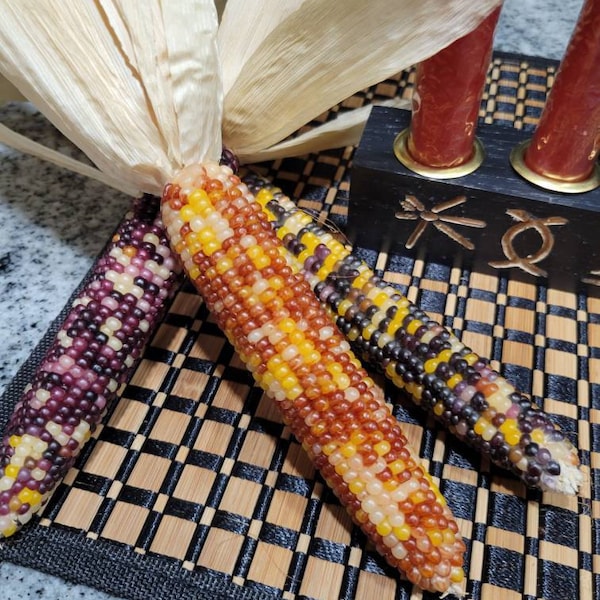 Mini Indian Corn, 5" to 6" Length, 10, 15, 30 and 40 Count, FREE ...