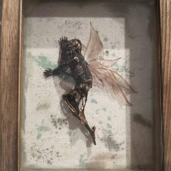 Dead Fairy Display Case - Etsy