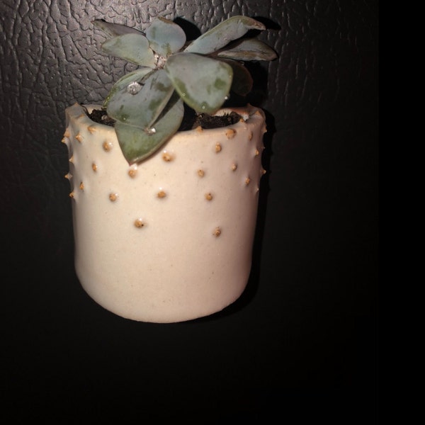 Ceramic Seashell Ornament | Handmade Pendant | Gift Idea | Hanging Clay ...