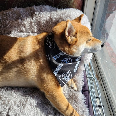 Small 9x12 Snuffle Mat Rooting Rug Canine Pet Dog Pig Rabbit - Etsy