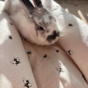 Digital Download Plans for Luxury Bunny Cubby Free Roam Bunnies Cat ...