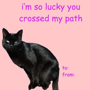 Indigenous Women Potrait Abstract Canvas Wall Art, Native American ...