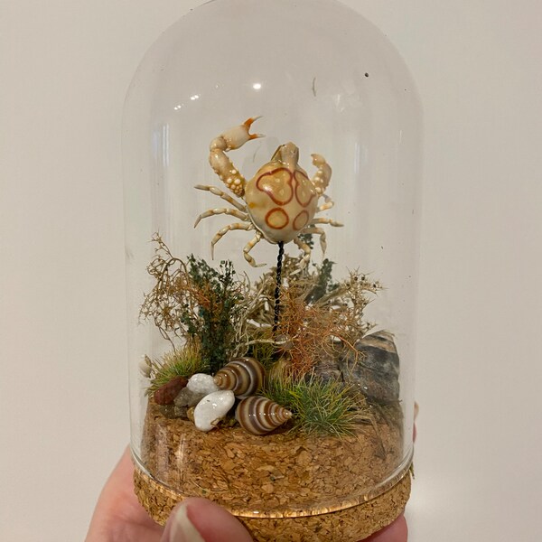 Micro Faux Metal Bat Dome - Etsy