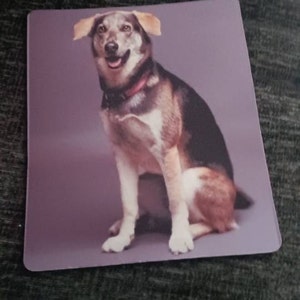 Simon 'ghost' Riley US Military Dog Tags Detailed - Etsy