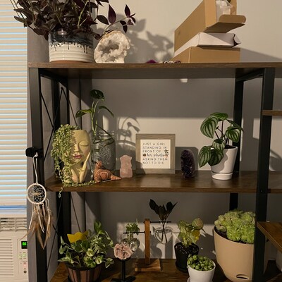 Plant Kindness Sign Plant Lover Sign Grow Love Decor Small - Etsy