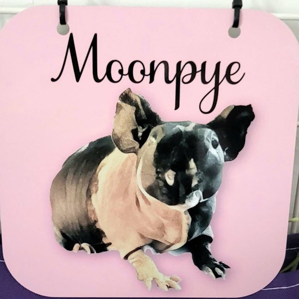 Guinea Pig Name Tag, Guinea Pig Accessories, Pet Tag, Guinea Pig ...