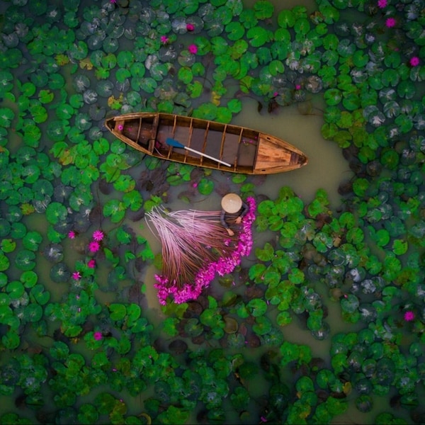 Lotus Fiber Silk Shawl 60”L X 14”W, Hand-spun Natural Fiber Lotus Silk ...