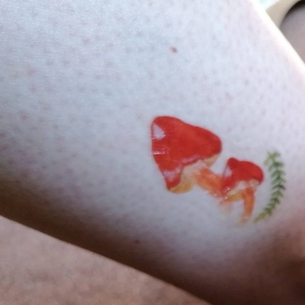 Mushroom & Toadstool Temporary Tattoos | Temporary Tattoo Set | British ...