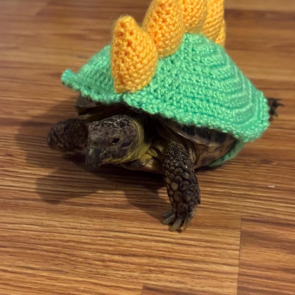 Tortoise Sweater Dinosaur, Stegosaurus Cozy for Tortoises, Crochet ...
