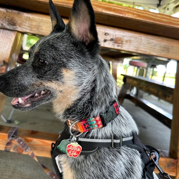 Aztec Dog Collar • Navajo • Western Dog Collar • Southwestern Collar ...