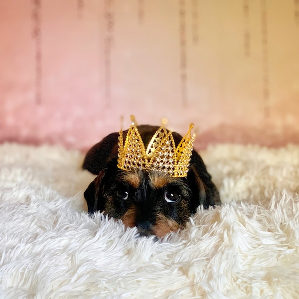 Princess Dog Crown, Elegant Pet Costume - Etsy