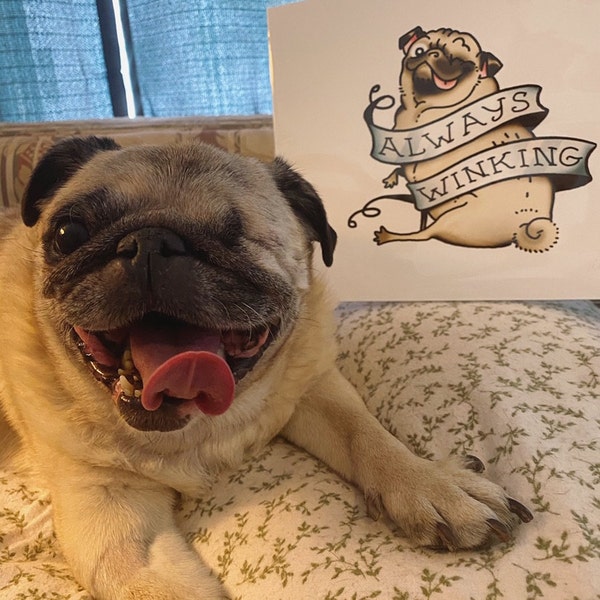 Always Winking Fawn One-eyed Pug Art Print - One Eyed Dog Tattoo Design ...