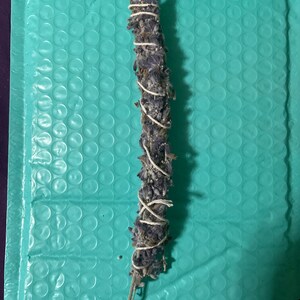 Herbology Starter Kit Guide - Etsy