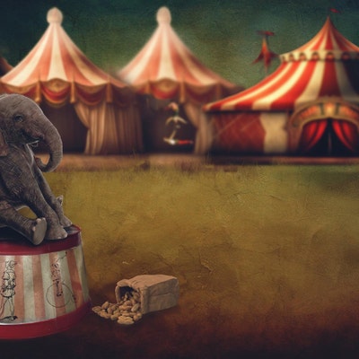 Dreamy Victorian Greenhouse Digital Background Background for - Etsy