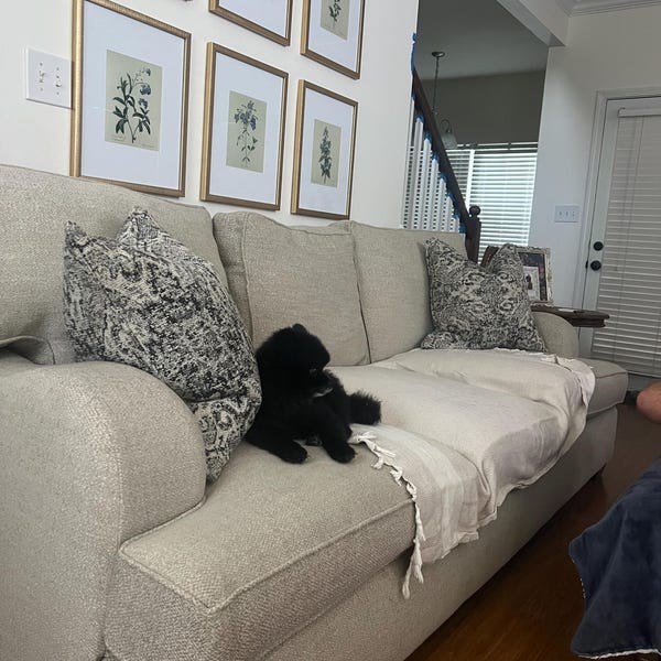 Set of 12 Vintage National Parks Art Print, National Parks Poster ...