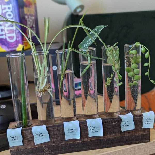 Name Tag Wooden Plant Label Seedlings and Seeds Divider Plant Markers ...