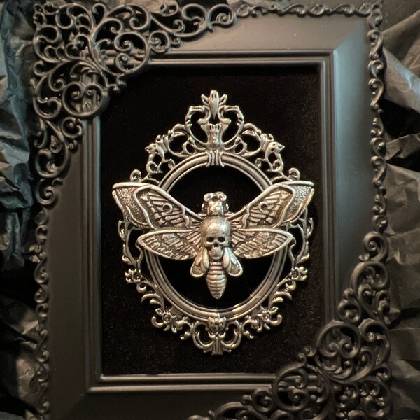 Death Head Moth With Ornate Frame | Macabre | Faux Taxidermy | Faux ...