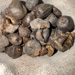 Alpaca Poop Fertilizer 100% All Natural, Alpaca Tea, Alpaca Black Gold ...